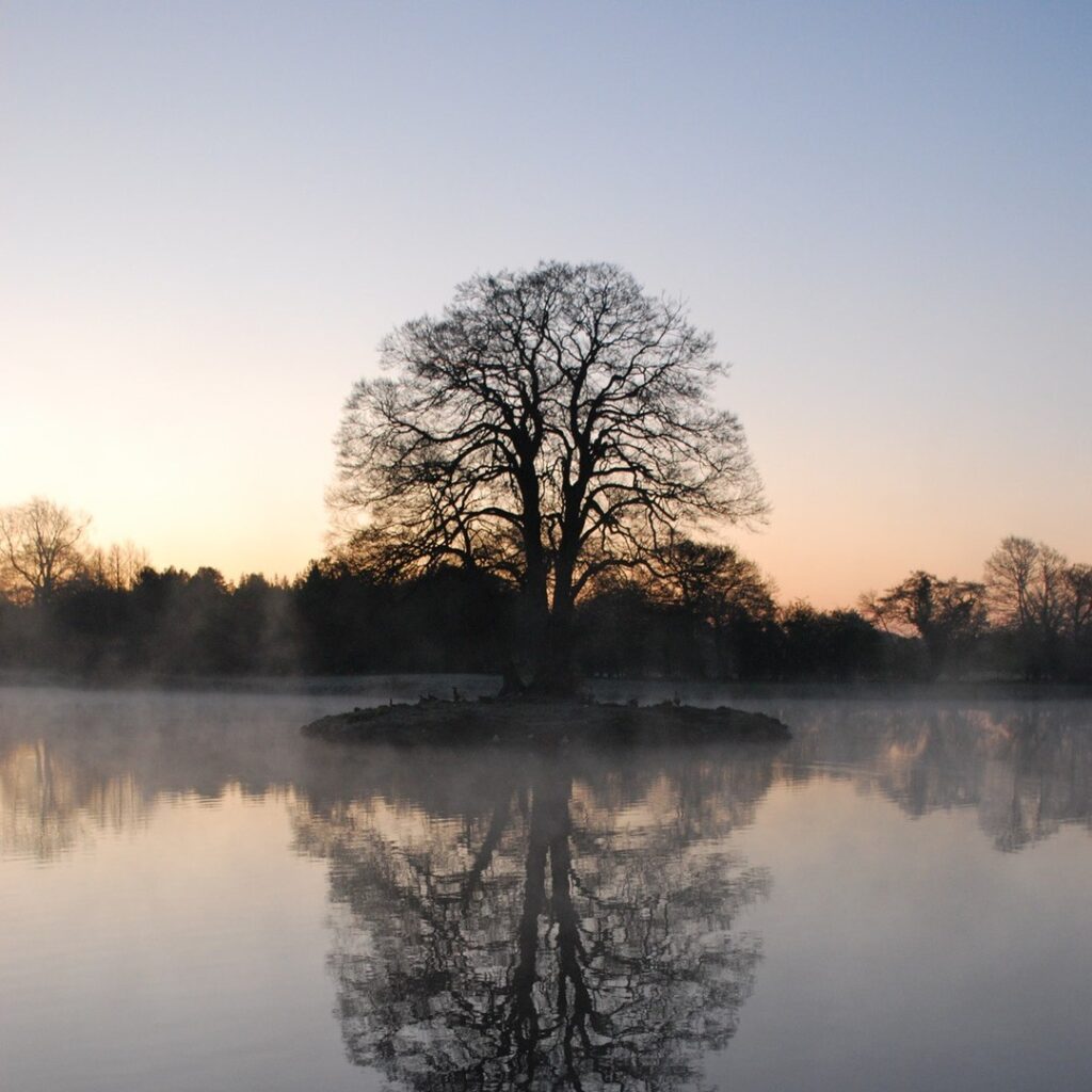 A Guide to Open Water Swimming - alderford