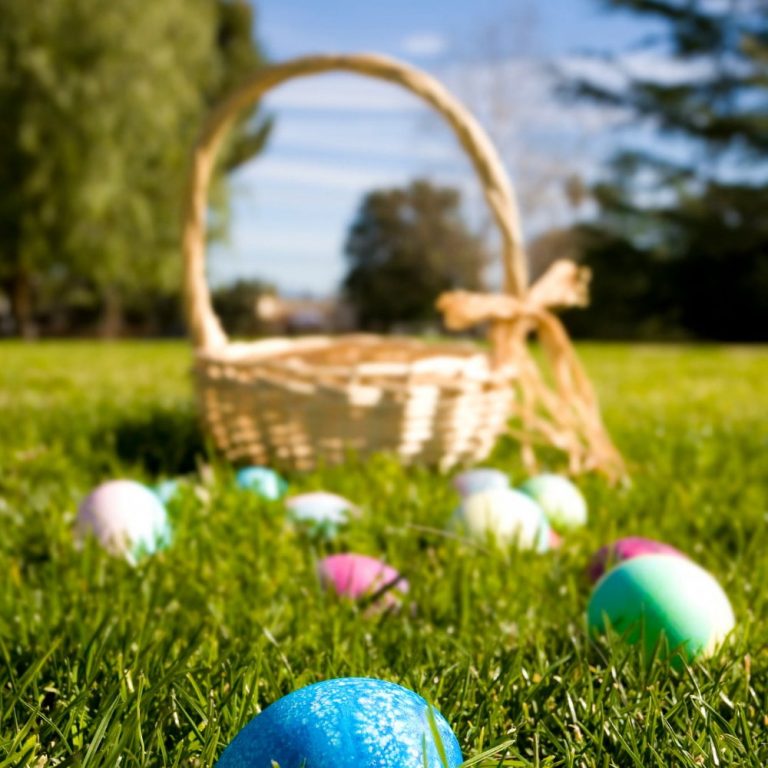 Things To Do Half Term In Shropshire, Activities & Events